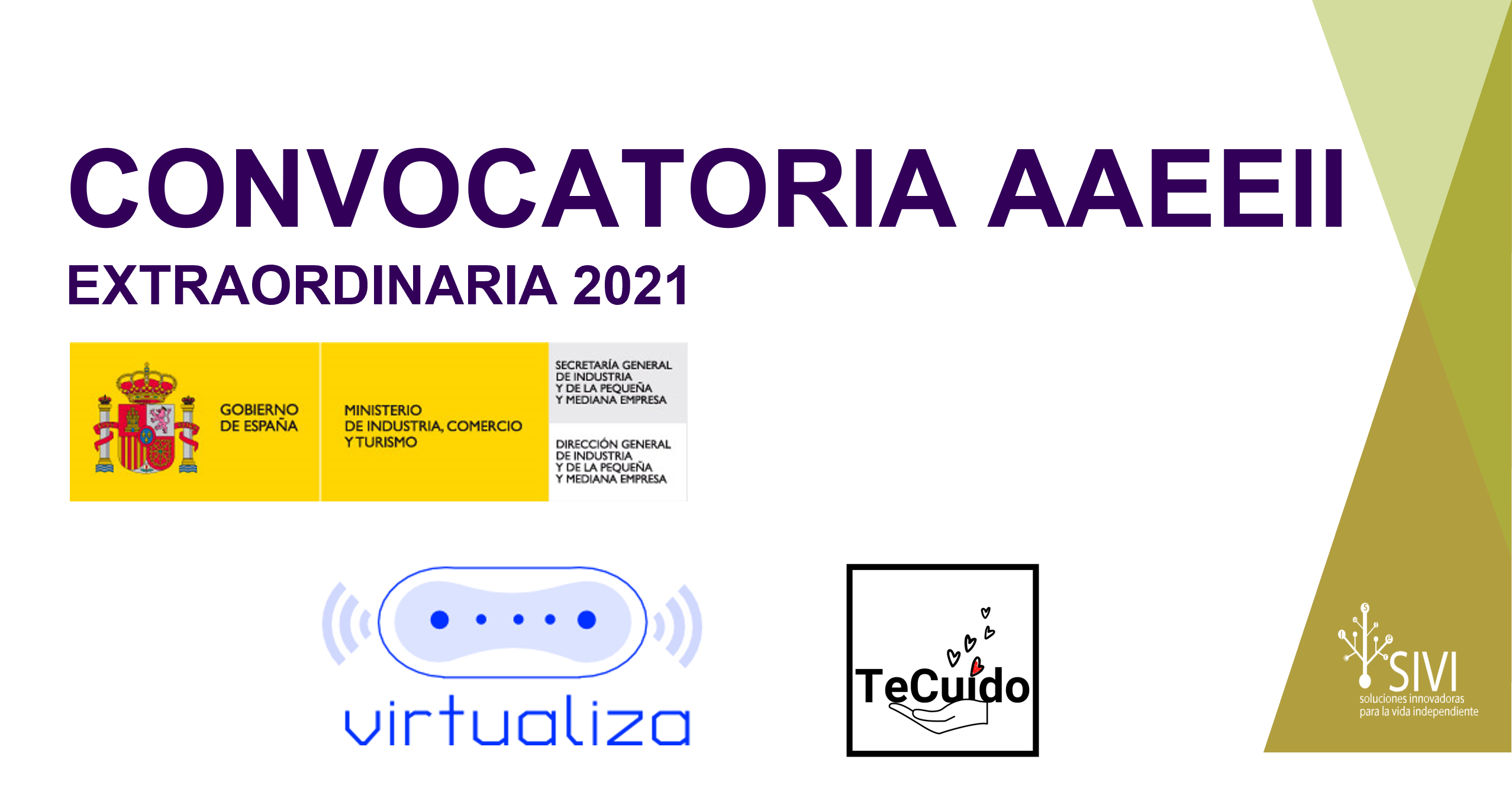 ClusterSivi – Soluciones Innovadoras para la Vida Independiente